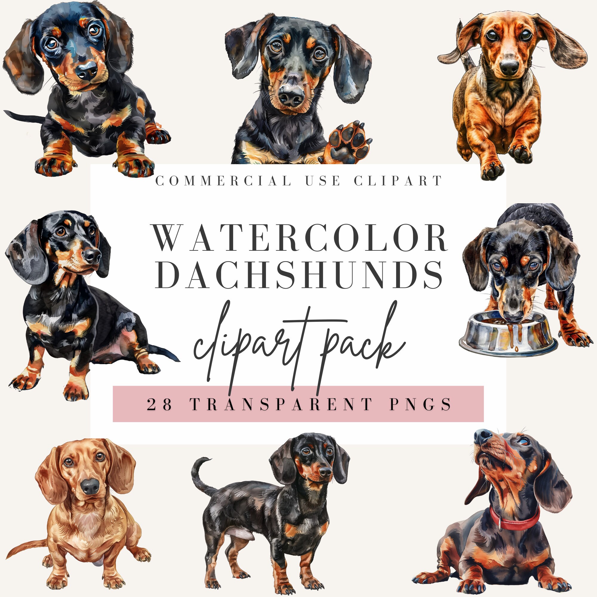 Dachshund Watercolor Clipart, Transparent Commercial Use PNG, Cute ...