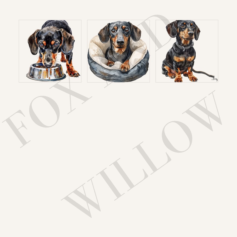 Dachshund Watercolor Clipart, Transparent Commercial Use PNG, Cute ...