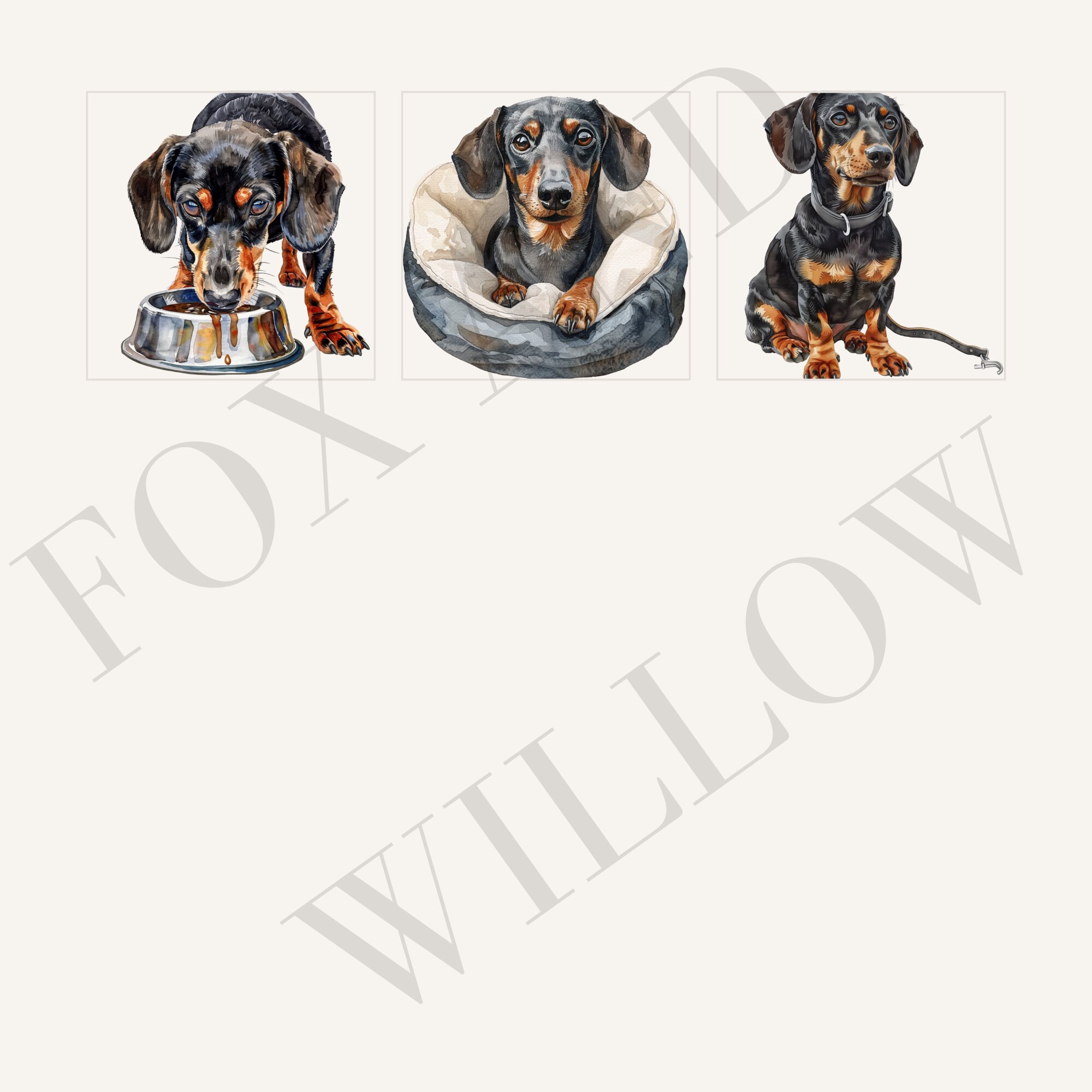 Dachshund Watercolor Clipart, Transparent Commercial Use PNG, Cute ...