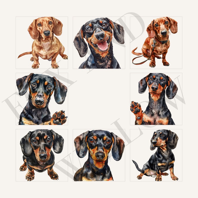 Dachshund Watercolor Clipart, Transparent Commercial Use PNG, Cute ...