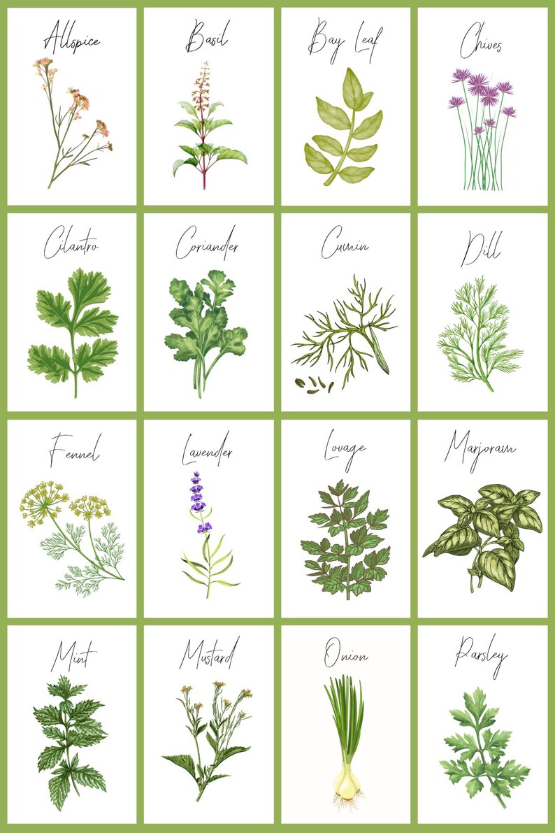 Editable Herb-themed Wedding Table Numbers - Etsy