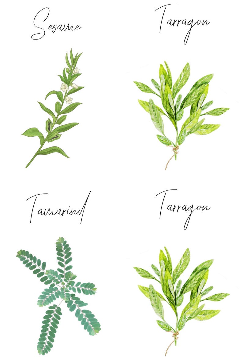 Editable Herb-themed Wedding Table Numbers - Etsy