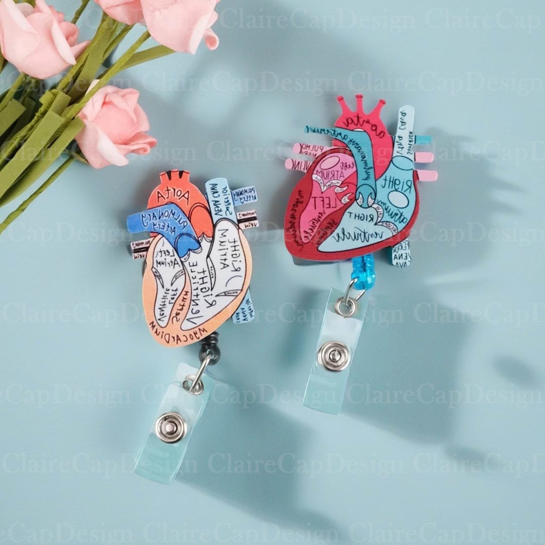 Anatomical Heart Badge Reel, Retractable Badge Reel, Badge Holder ...