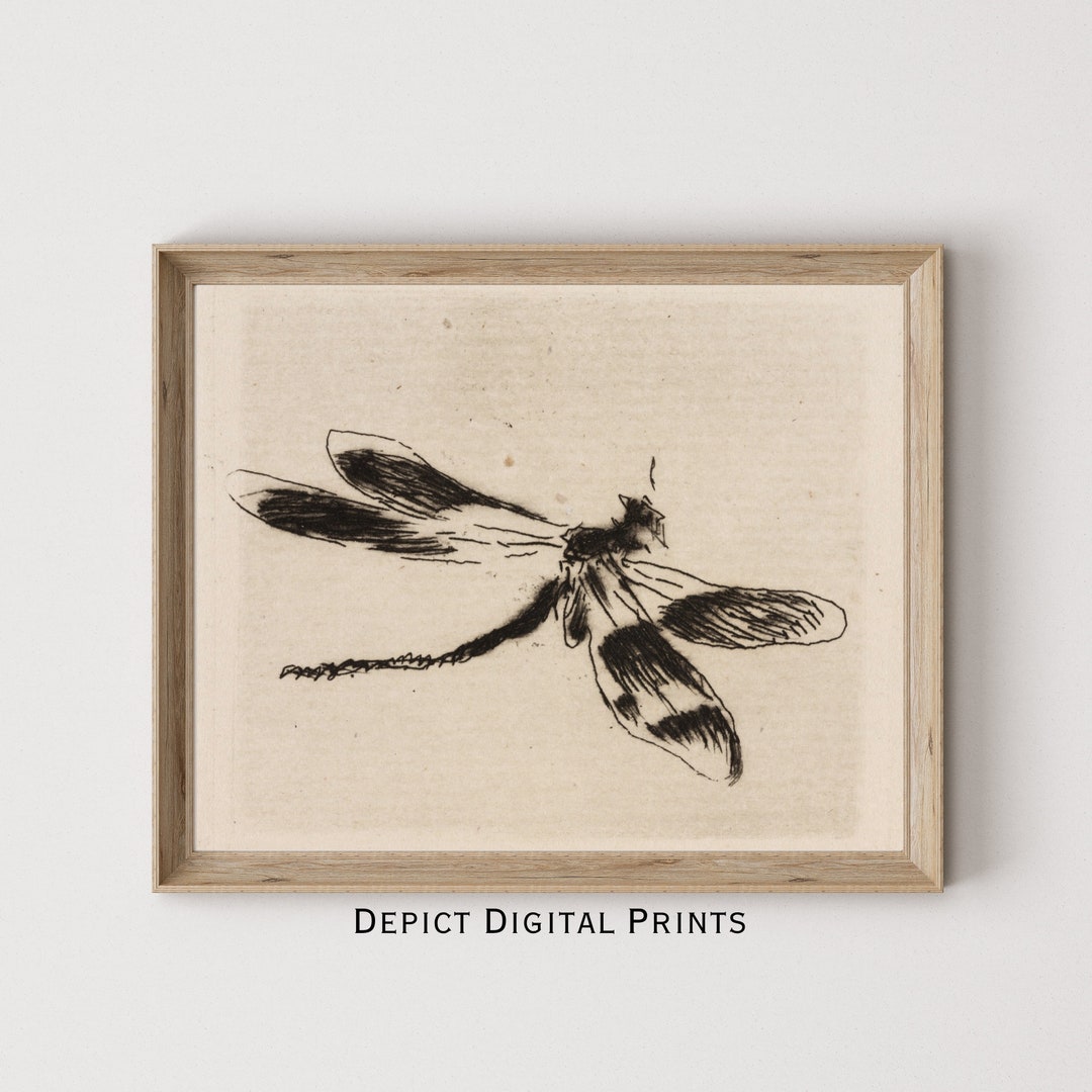 Dragonfly Sketch Print, Neutral Insect Artwork (digital Download) - Etsy