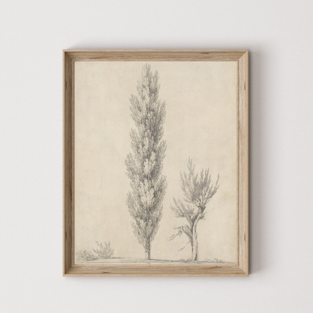 Vintage Tree Art Sketch, Neutral Poplar Tree Drawing | Digital Download ...