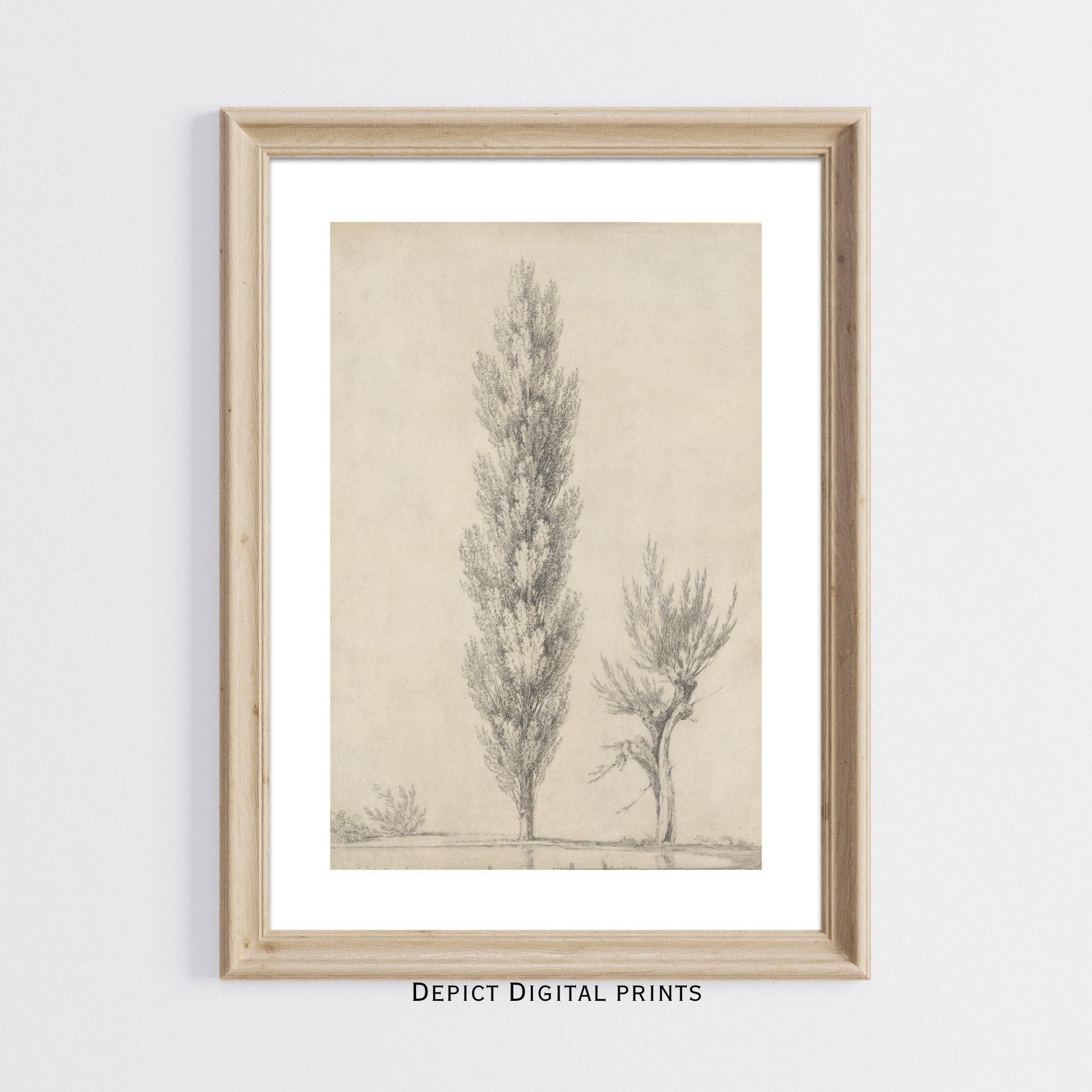 Vintage Poplar Tree Sketch Art, Neutral Drawing (digital Download) - Etsy