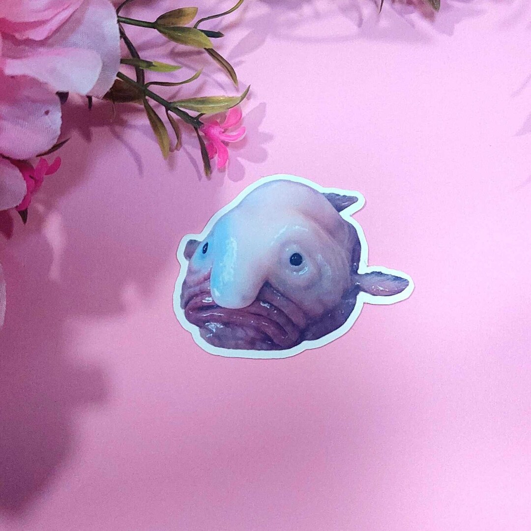 Blobfish Sticker Funny Stickers Weather Resistant Stickers Journal ...