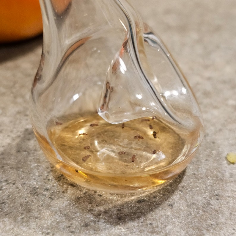 Handmade Glass Fruit Fly Trap - Etsy