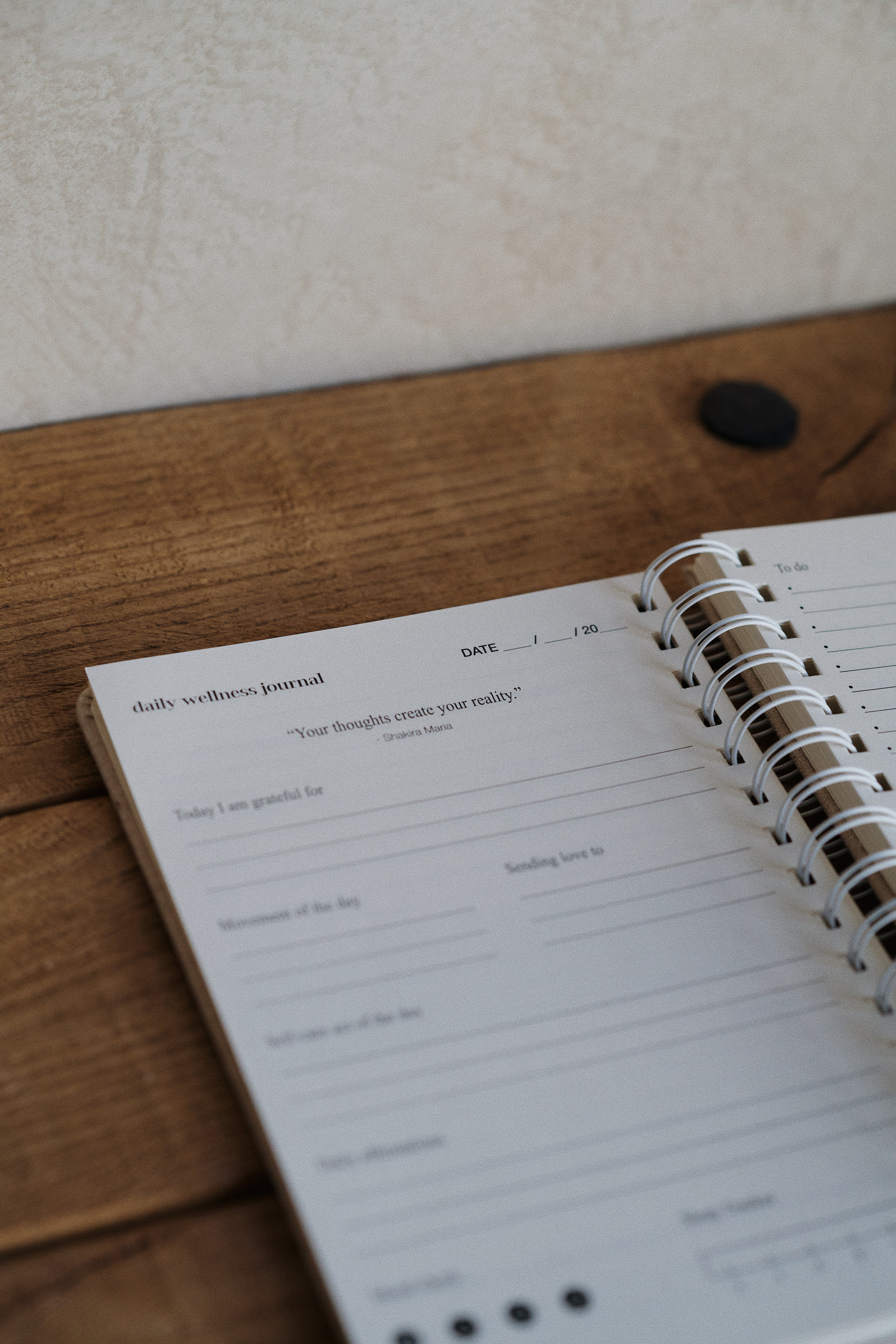 Daily Wellness Journal by SUNDAYS Health & Wellness Club Gratitude ...