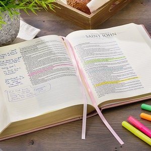KJV Bible | Note Taking Bible | King James Version Bible | Brown/pink ...