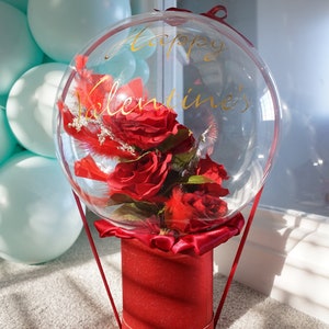 Stuffed Bubble Balloon - Etsy