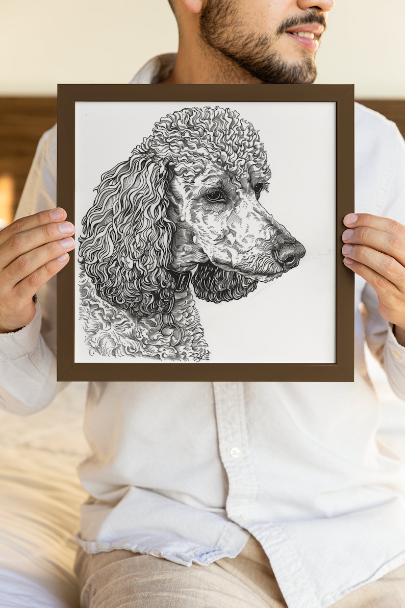 Black and White Standard Poodle Line Drawing Giglee Print Modern ...