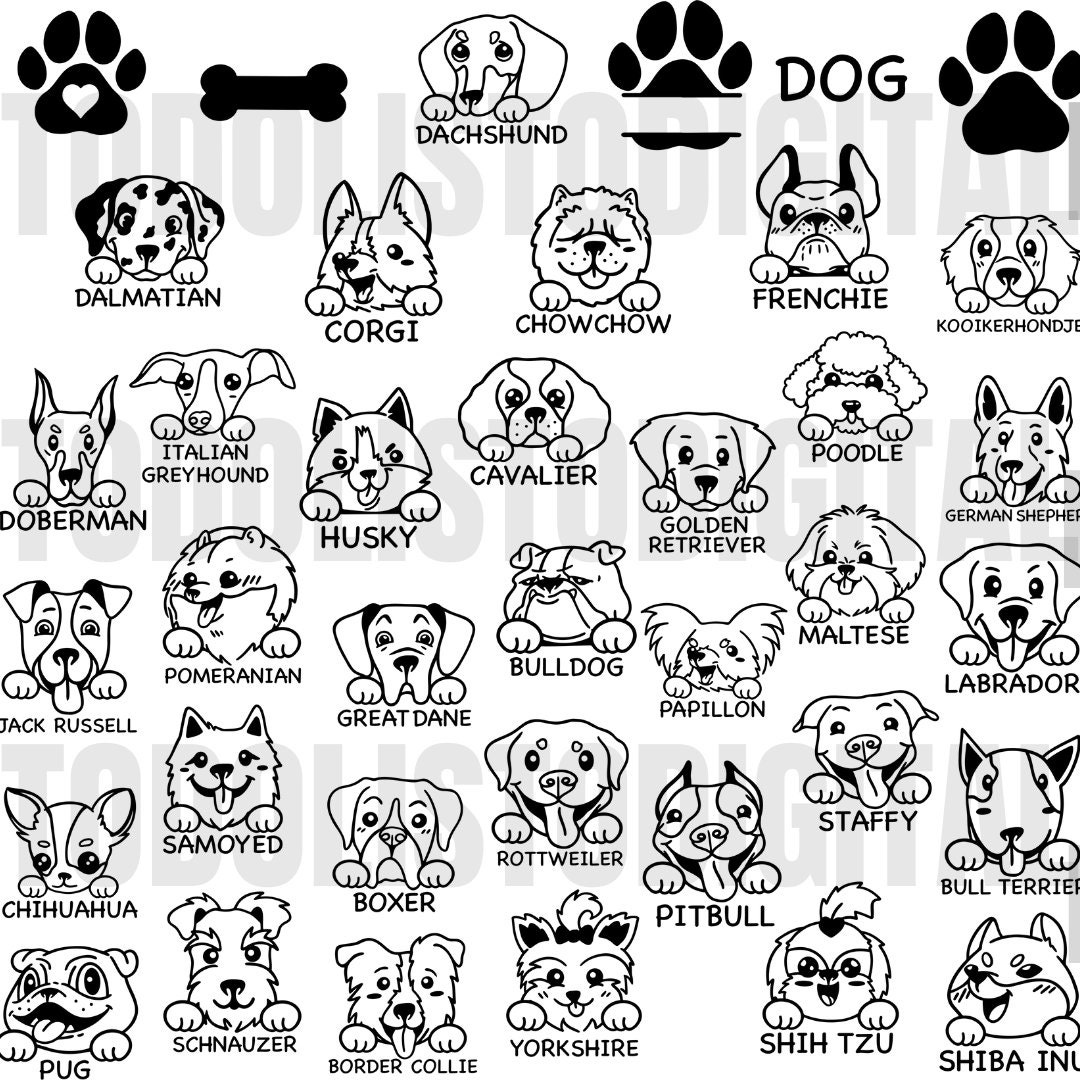 Manually Vectorized Mascot Kit in Formats Png, Pdf, Svg, Dxf, Eps ...