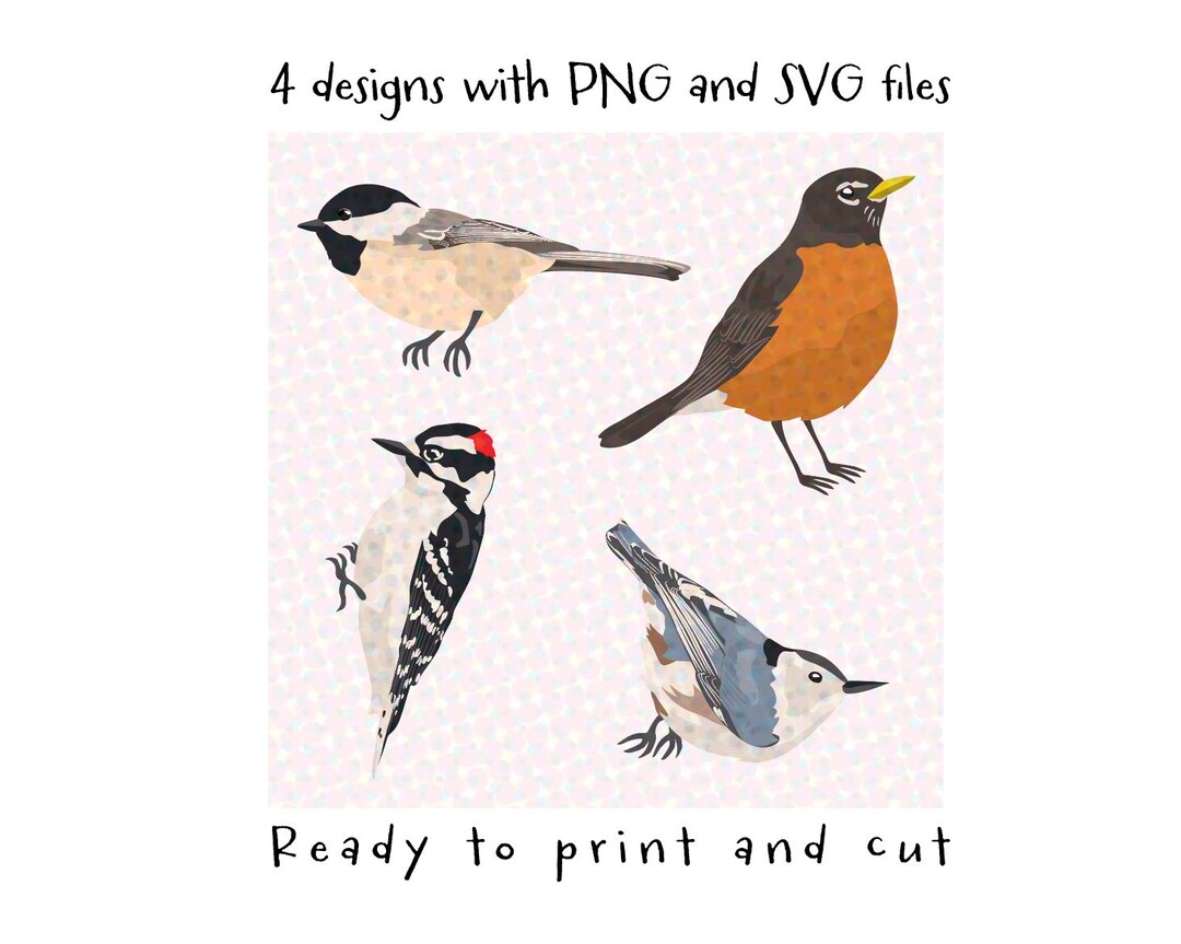 US Backyard Birds SVG and PNG Files Ready to Cut W/ 4 Designs: American ...