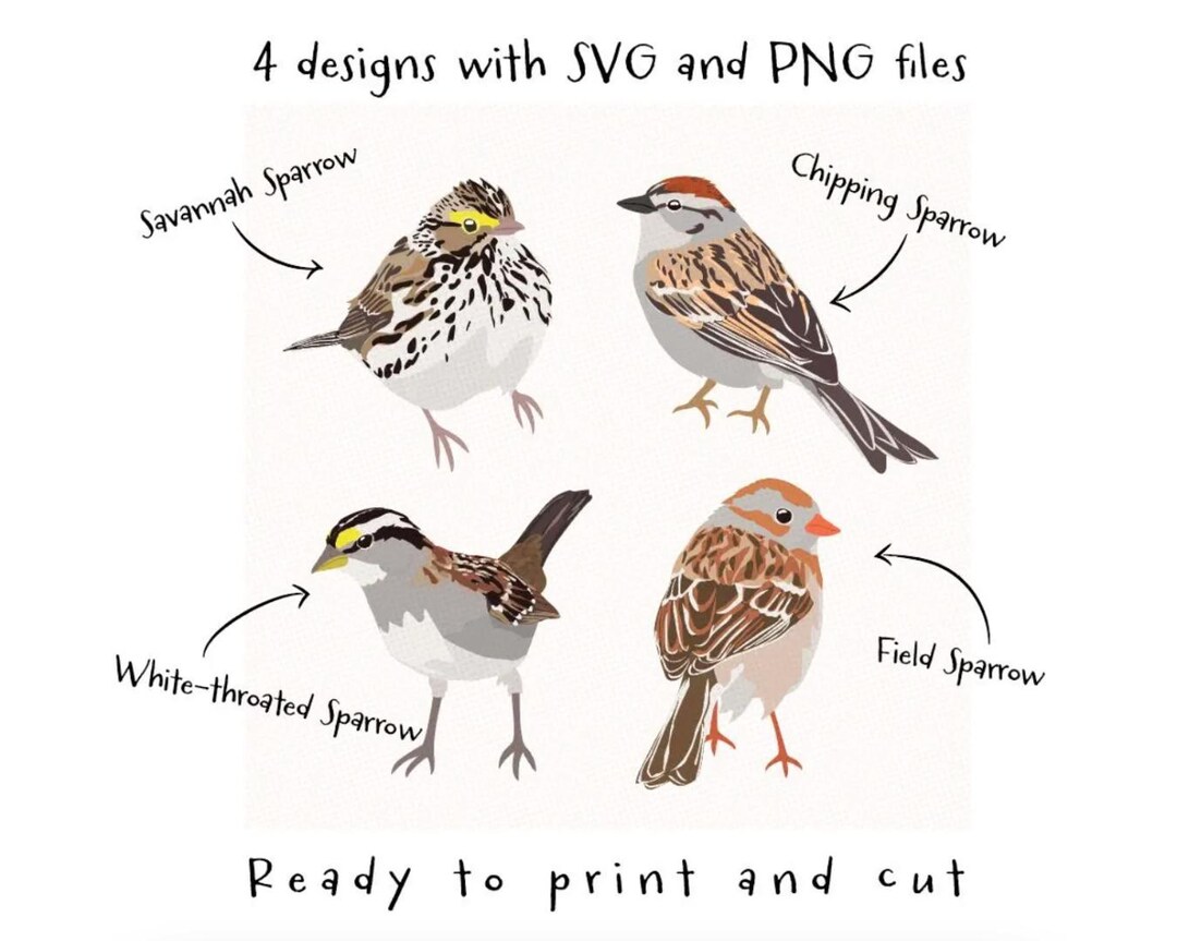 Buy Eastern US Sparrows SVG and PNG Files Ready to Cut With 4 Designs ...
