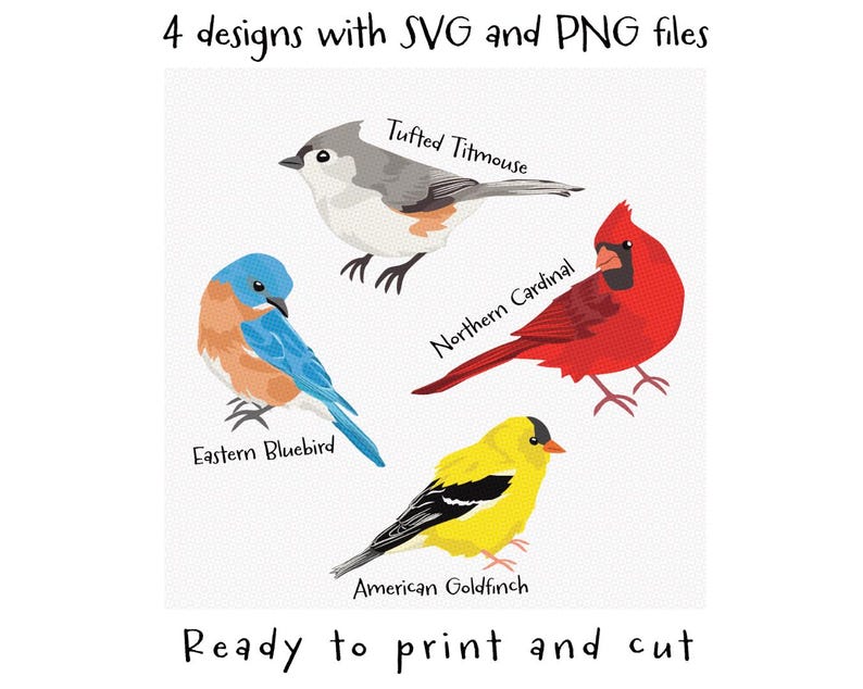 Eastern Backyard Birds SVG and PNG Files Ready to Cut W/ 4 Designs ...