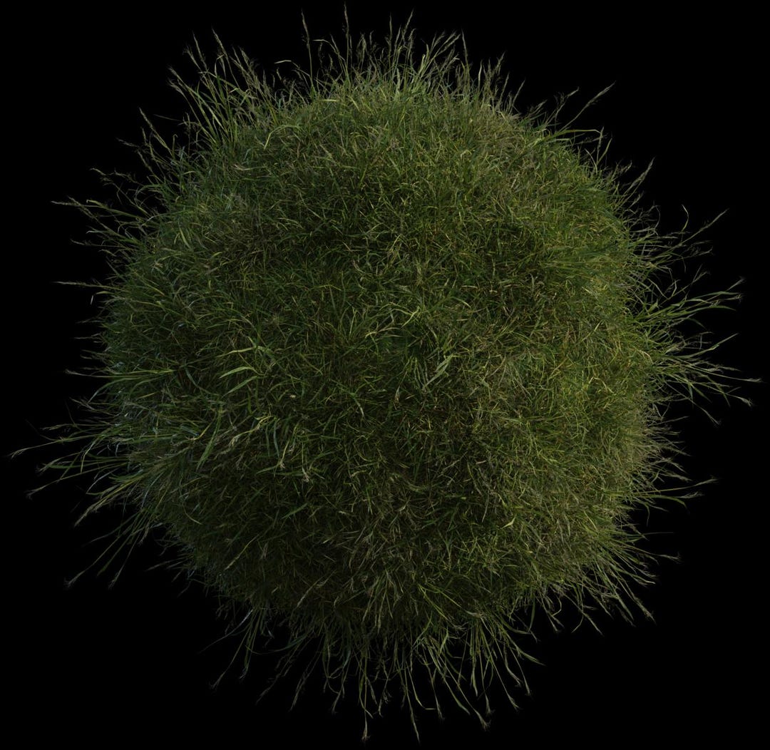 Grass Collection – 4K PBR Texture | High-resolution 3D Material for ...