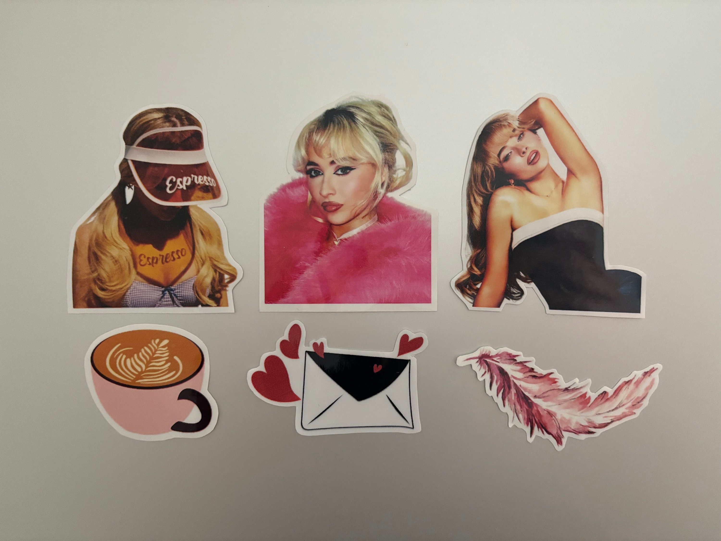 Sabrina Carpenter Stickers - Etsy