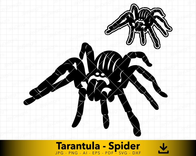 Tarantula Svg, Spider Svg, Tarantula Spider Svg, Spider Silhouette ...