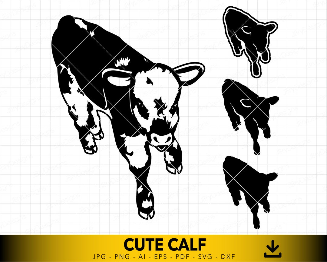Calf Svg, Cow Svg, Calf Silhouette, Cute Calf Svg, Standing Calf Svg ...