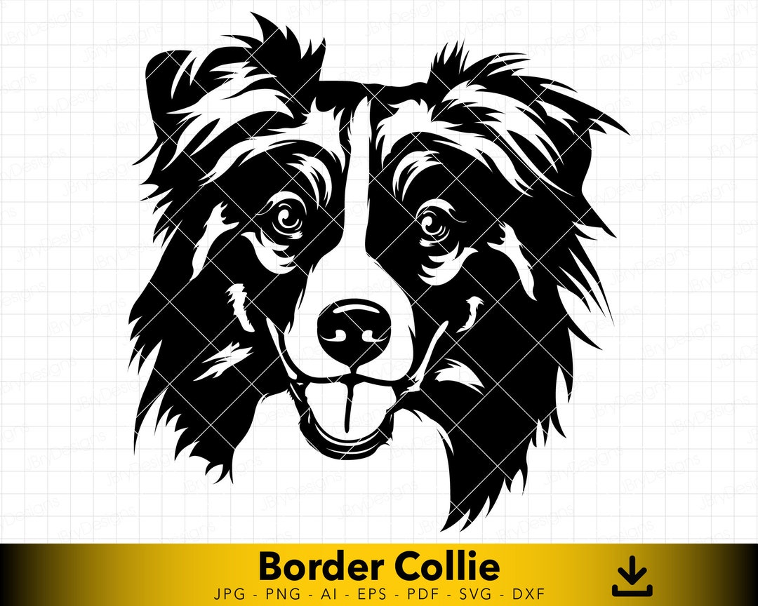 Border Collie Svg, Dog Svg, Border Collie Face, Puppy Svg, Border ...