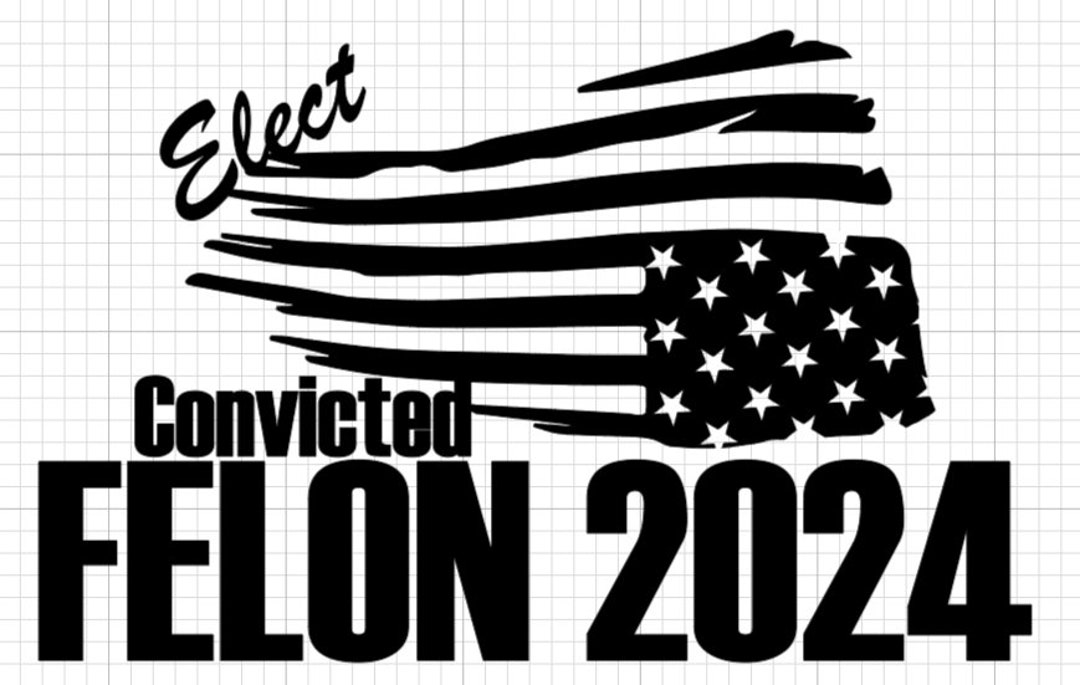 Elect Convicted Felon 2024 Decal Donald Trump Joe Biden Election FJB ...