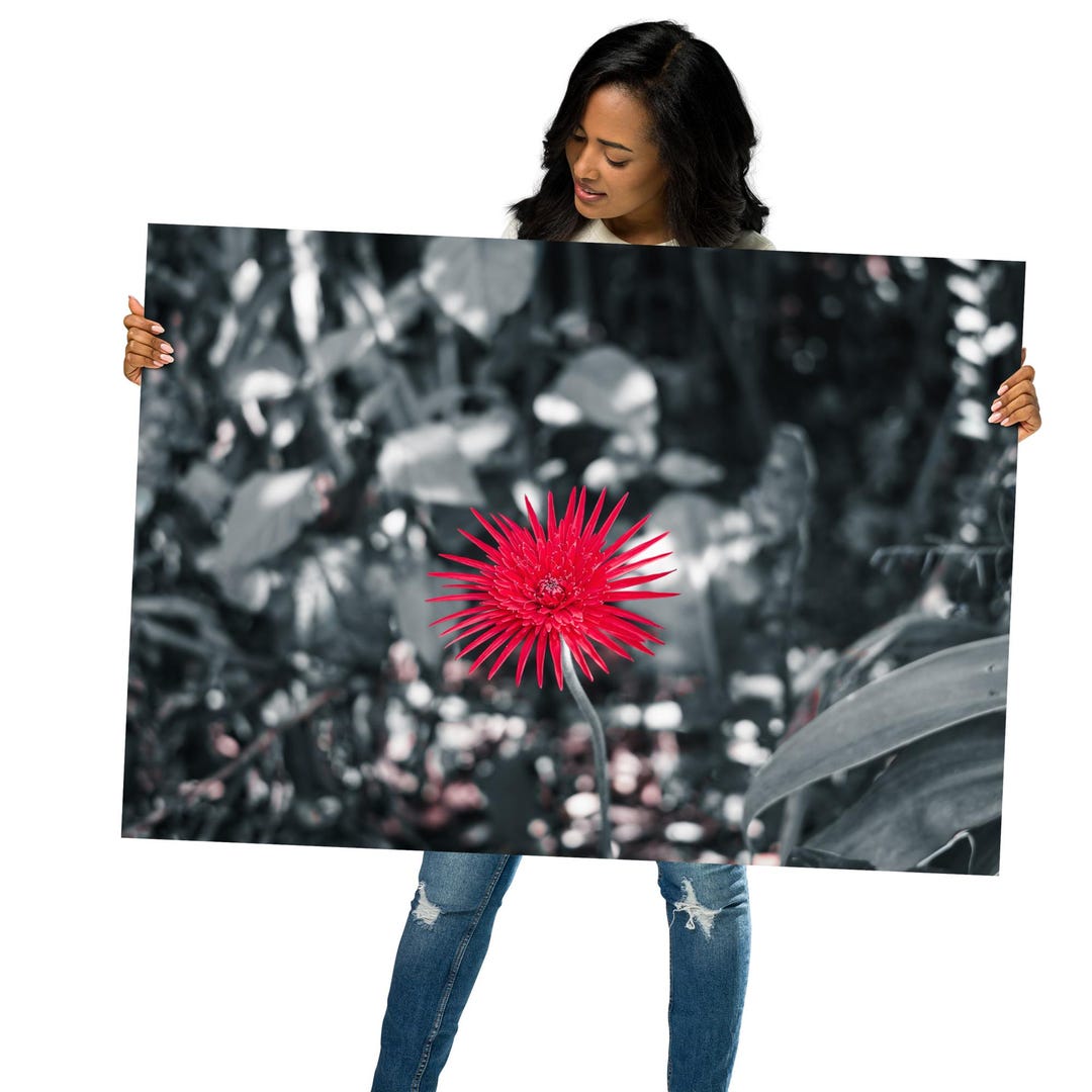 Scarlet Blossom in a Noir Jungle Digital Download Fine Art Photography ...