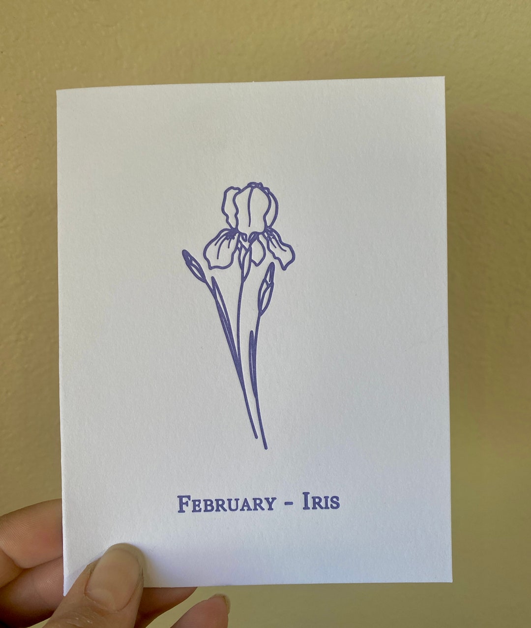 Iris Birth Flower Letterpress Card - Etsy