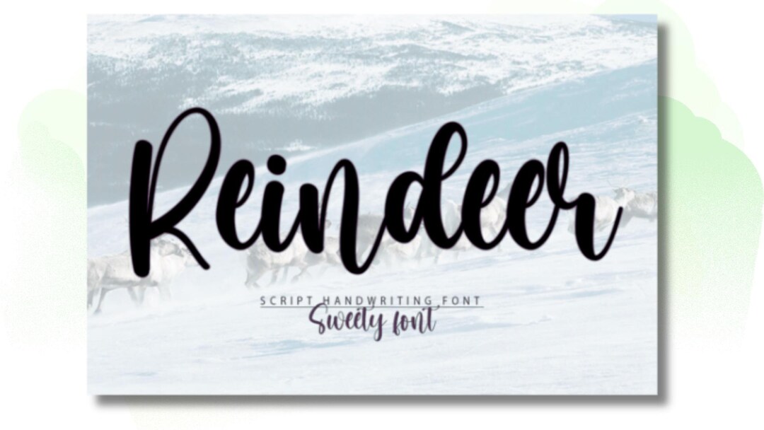 Reindeer Font, Display Font, Calligraphy Font, Handwritten Font, Retro ...