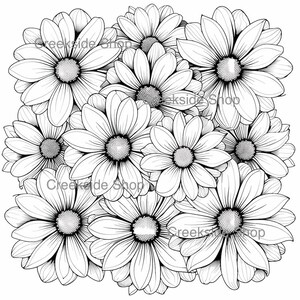 Flower Mandalas Coloring Pages, Digital, Printable, Adult or Kids ...