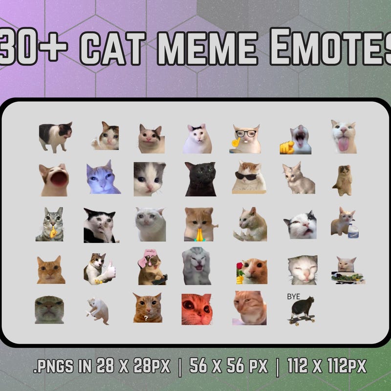 Cat Meme - Etsy