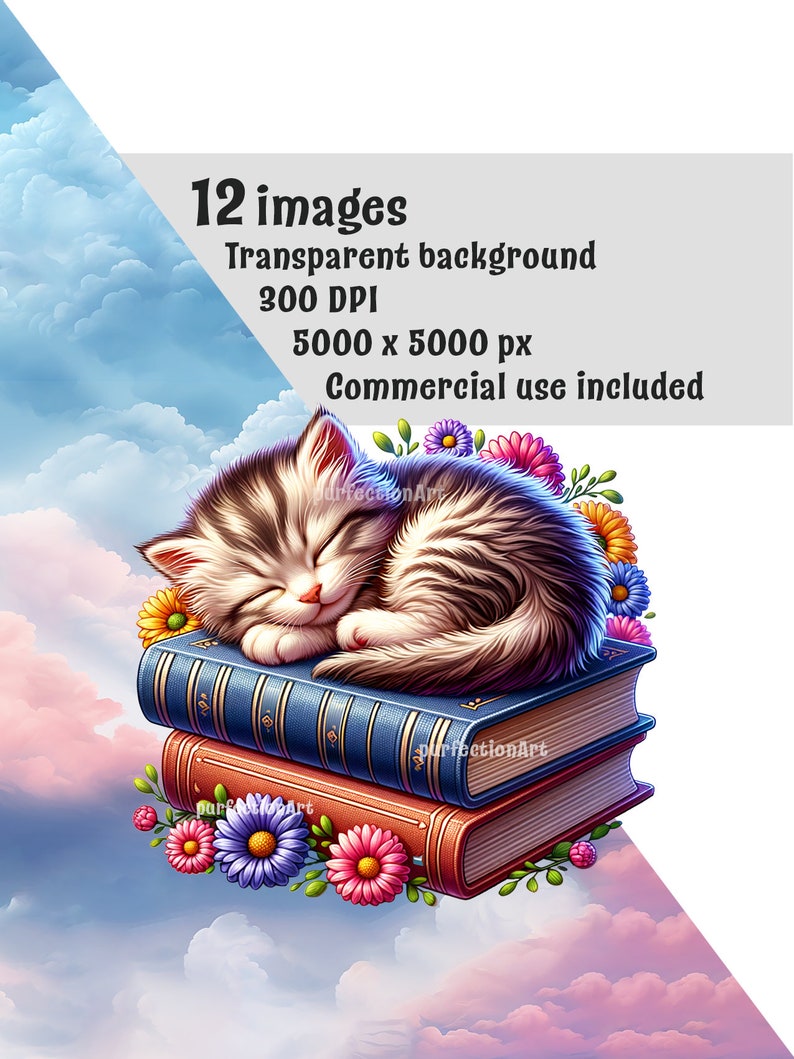 Cats & Books Clipart Bundle: 12 Adorable PNG Images of Cats Reading and ...