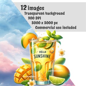 Summer Drinks Clipart Bundle: 12 Fruity and Refreshing Summer Themed ...