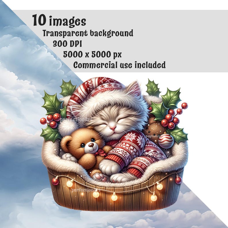 Cozy Winter Cats Clipart Bundle: 10 Adorable Sleepy Winter and ...