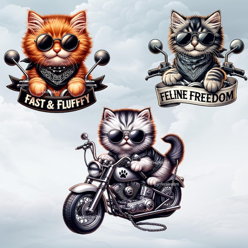 Biker Cats Clipart Bundle: 11 Adorable Kittens Riding Motorcycles, PNG ...