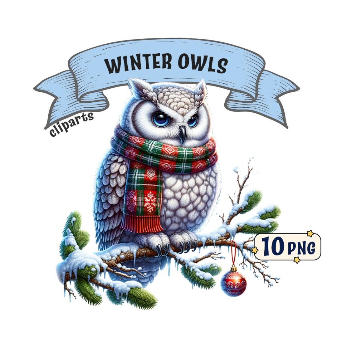 Winter Owls Clipart Bundle: 10 Majestic and Cute Winter-themed Snow ...