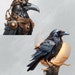 Steampunk Crows Clipart Bundle, 10 Steampunk Themed Crow PNG Images ...