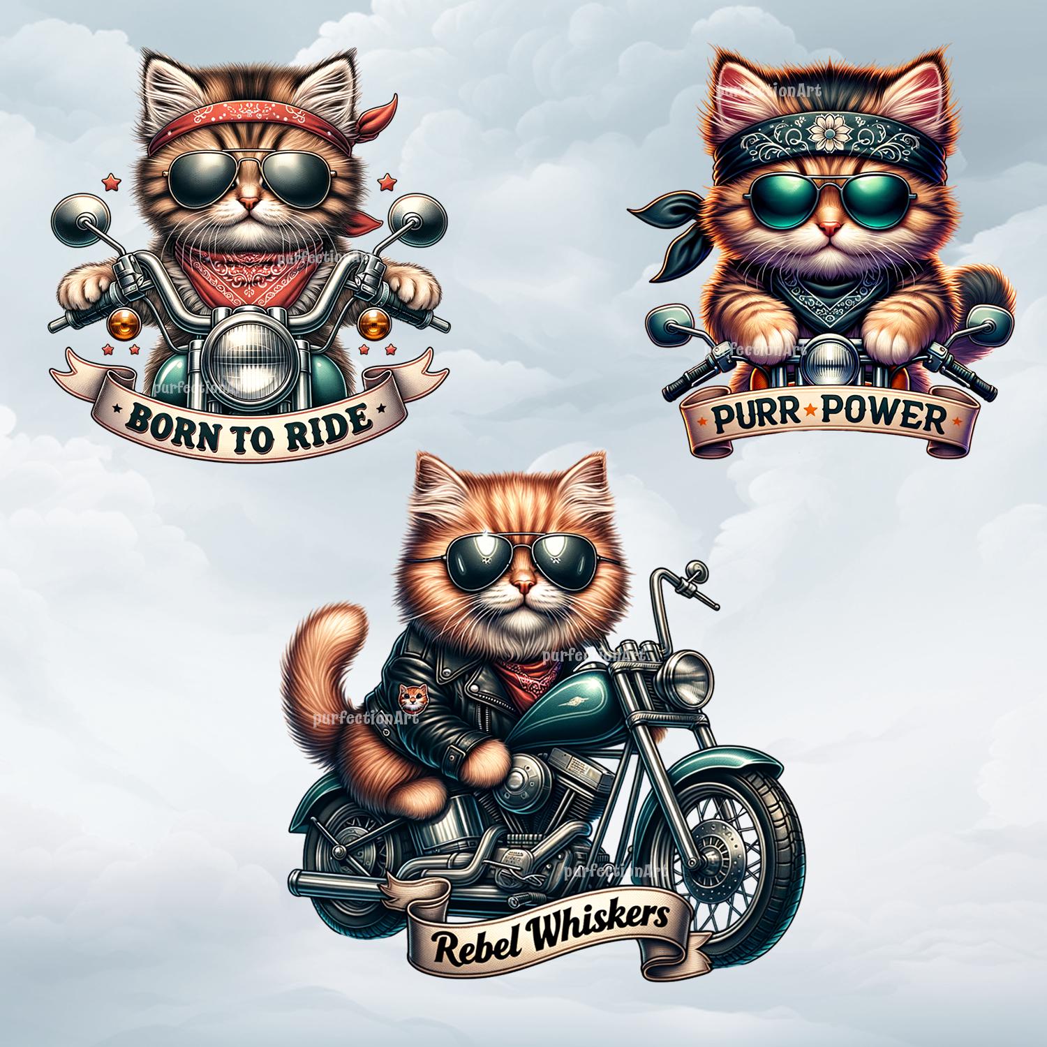 Biker Cats Clipart Bundle: 11 Adorable Kittens Riding Motorcycles, PNG ...
