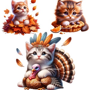 Catsgiving Clipart Bundle: 20 Beautiful Thanksgiving-themed Cat PNG ...