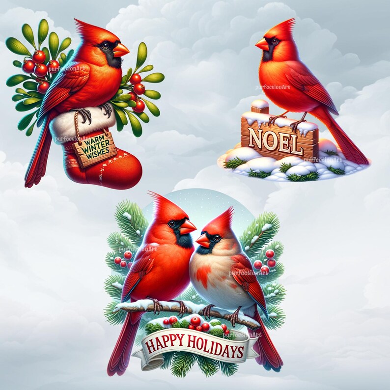 Christmas Cardinals Clipart Bundle, 14 Beautiful Christmas Cardinals ...