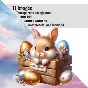 Bunny Express Clipart Bundle – 11 Cute Easter Bunnies, PNG Images ...