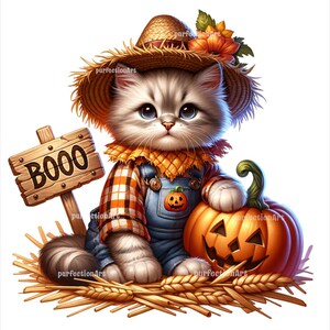Halloween Cats Clipart Bundle, 11 Cute Halloween Themed Kitten PNG ...