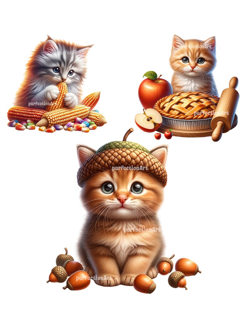 Catsgiving Clipart Bundle: 20 Beautiful Thanksgiving-themed Cat PNG ...
