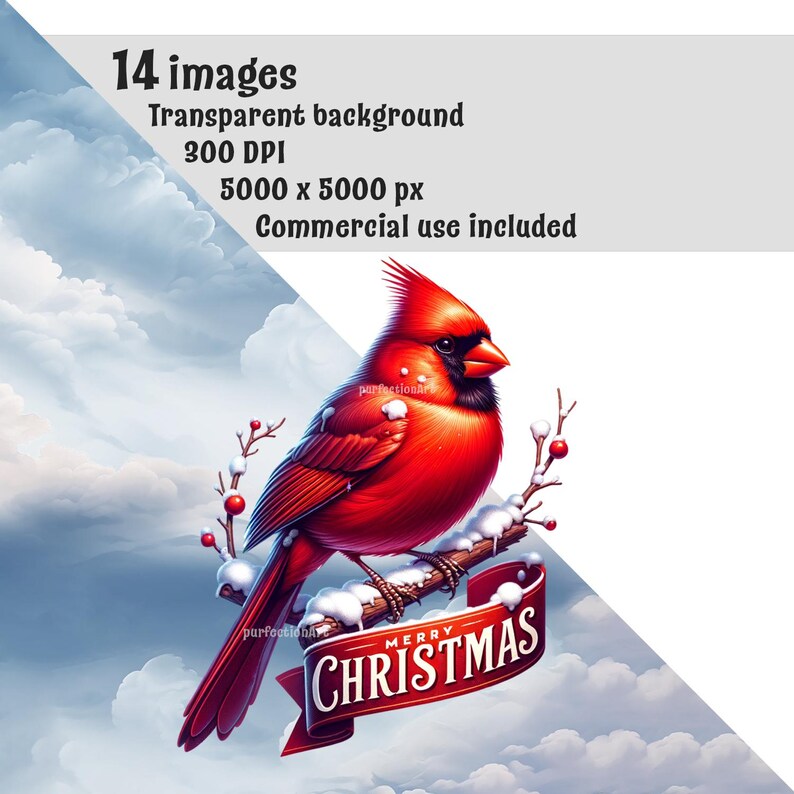 Christmas Cardinals Clipart Bundle, 14 Beautiful Christmas Cardinals ...
