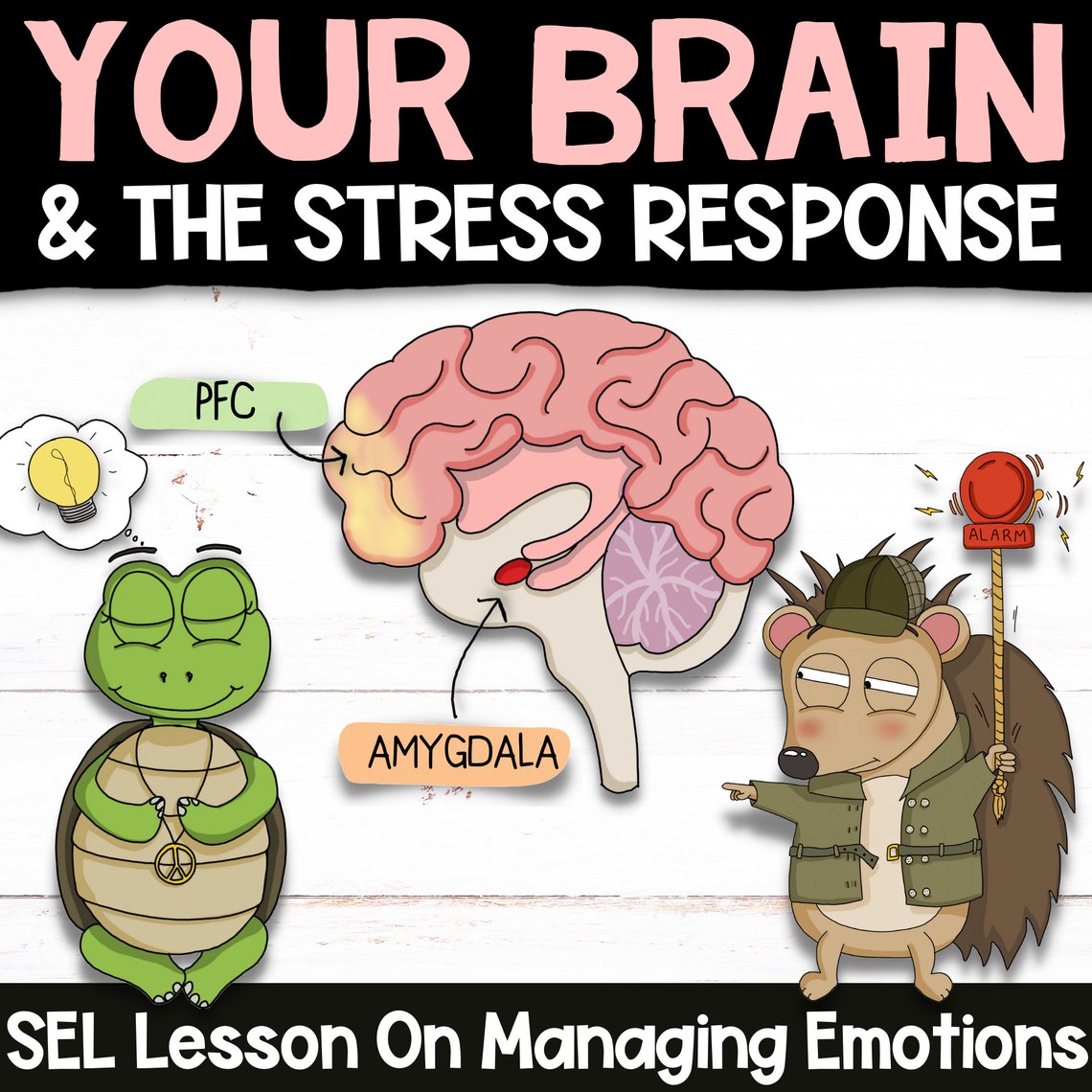 The Brain and Stress Response SEL Trauma Sensitive Kids Lesson on ...