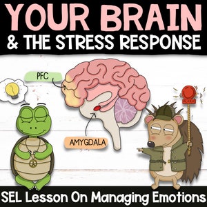 The Brain and Stress Response SEL Trauma Sensitive Kids Lesson on ...