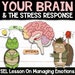 Brain & Stress Response SEL Lesson: Trauma Sensitive Kids, Emotion ...