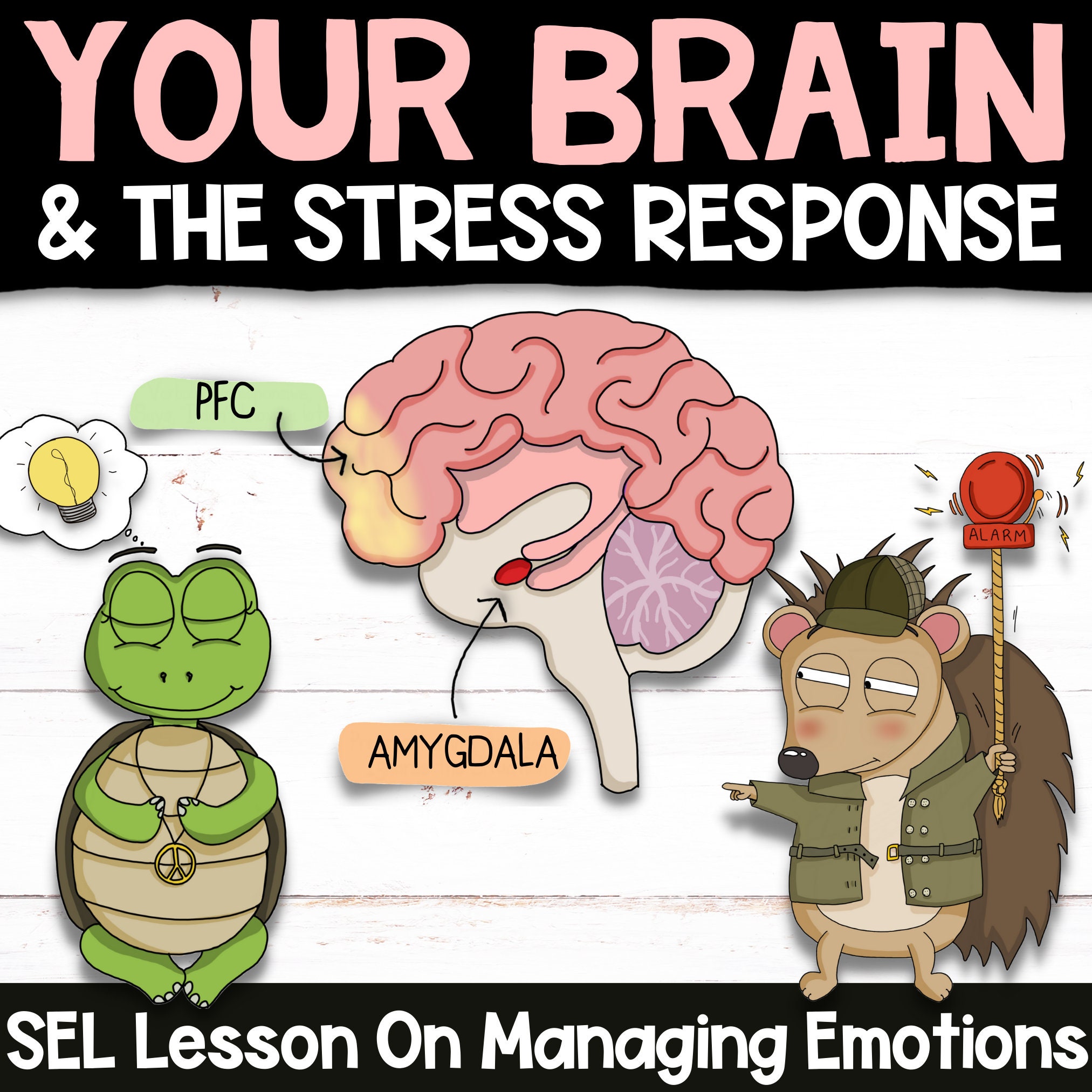 The Brain and Stress Response SEL Trauma Sensitive Kids Lesson on ...