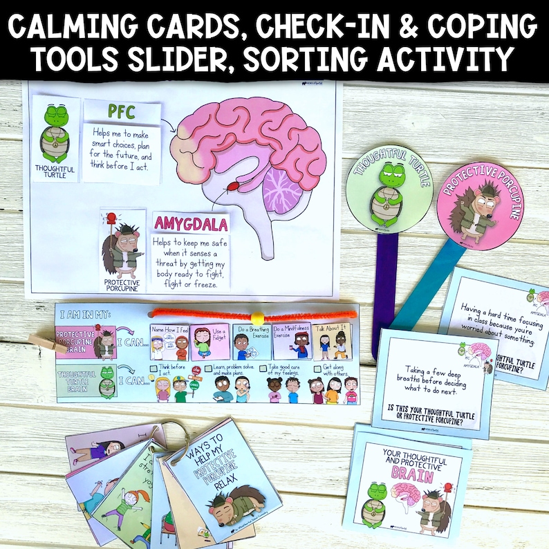 The Brain and Stress Response SEL Trauma Sensitive Kids Lesson on ...