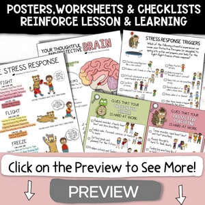 The Brain and Stress Response SEL Trauma Sensitive Kids Lesson on ...